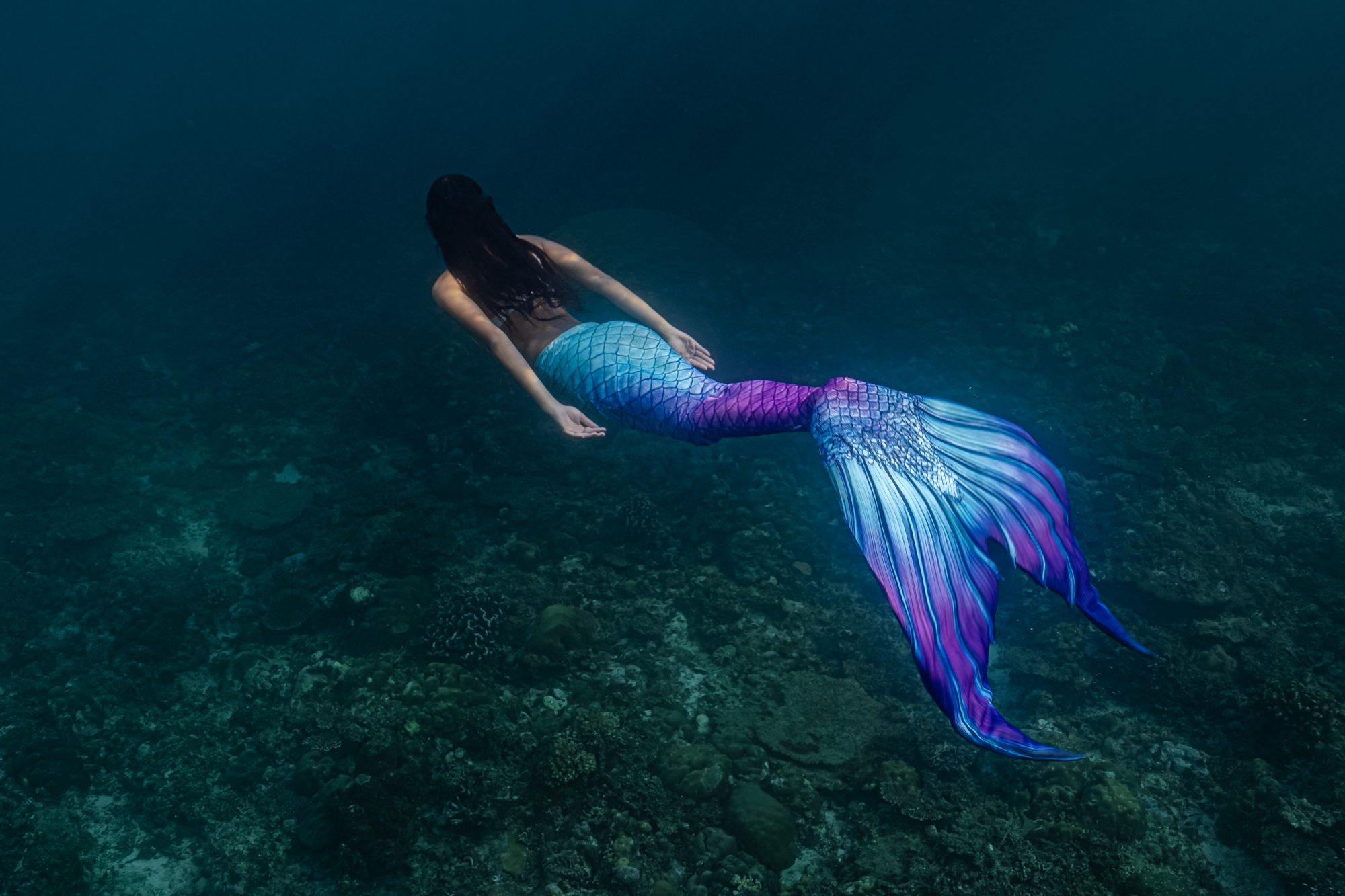 Was ist Mermaiding? – Der Heimathafen für Meerwesen